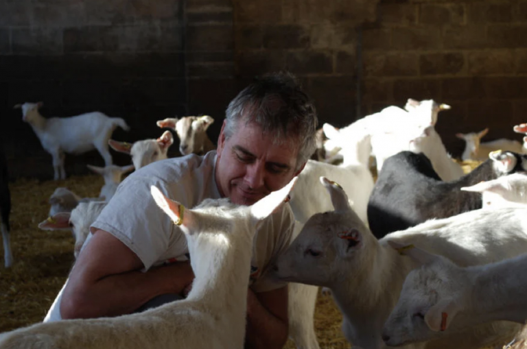 White Lake Cheese | Chiswick Cheese Market